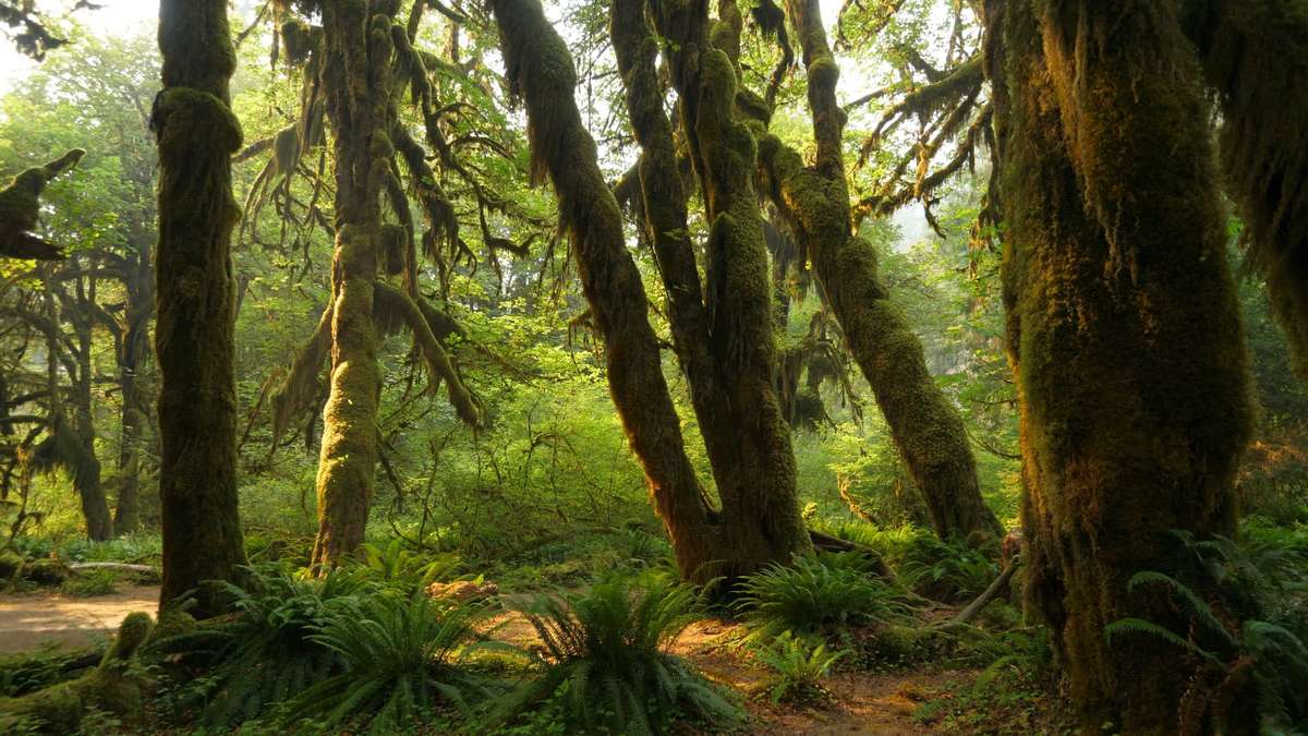 Royalty-Free Stock Video Footage | Motion Places