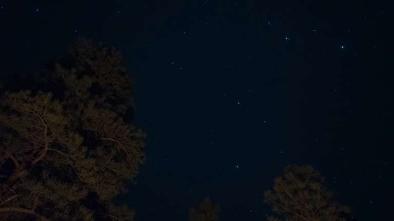 Night Stock Video - Motion Places